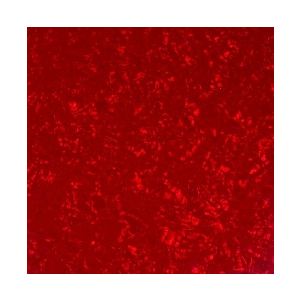 Pickguard Sheets - Pickguards